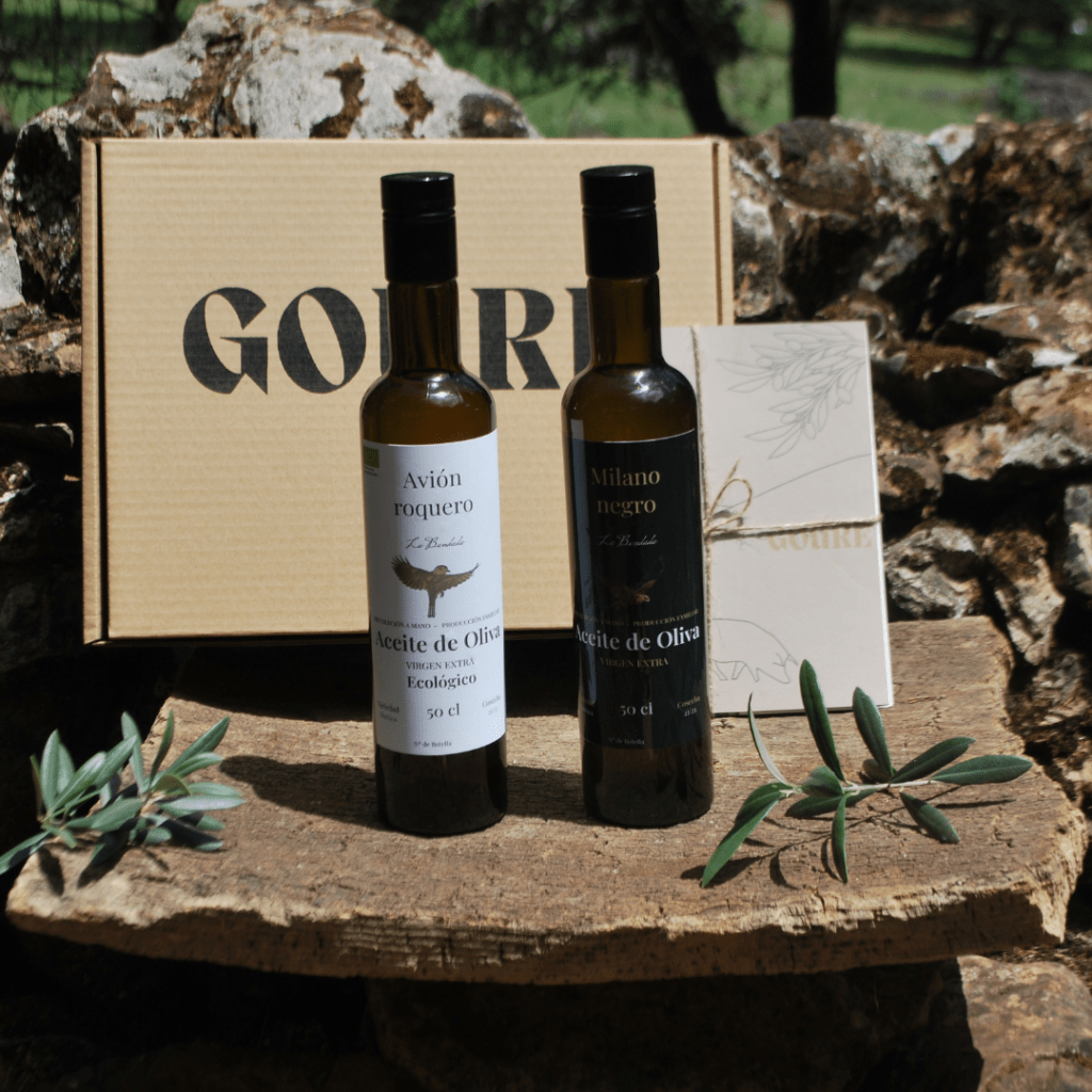 The Ultimate Guide to Choosing the Best Jamon Iberico - Goure